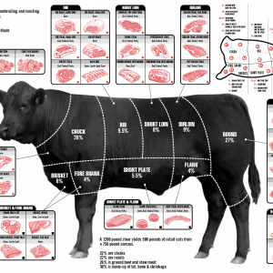 USDA Packaged Beef Cuts – Great Malus Beef Online Store